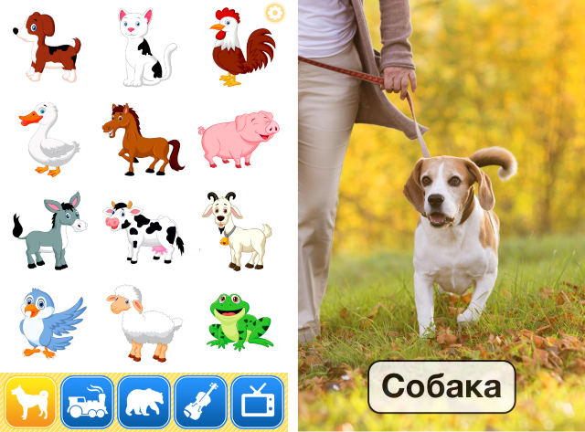 Smart Baby Touch HD — познавательные фотокарточки для малышей